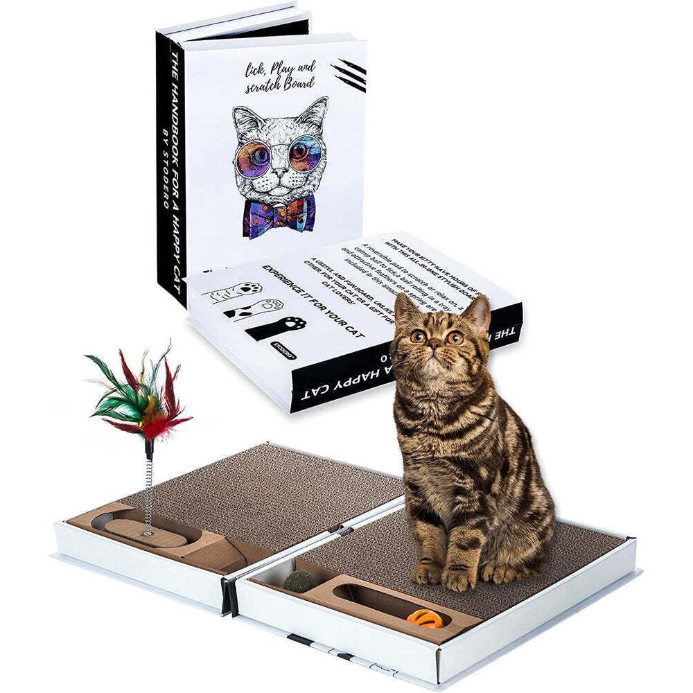 All-in-One Cat Scratcher Pad & Play Area - CatGlamour.com