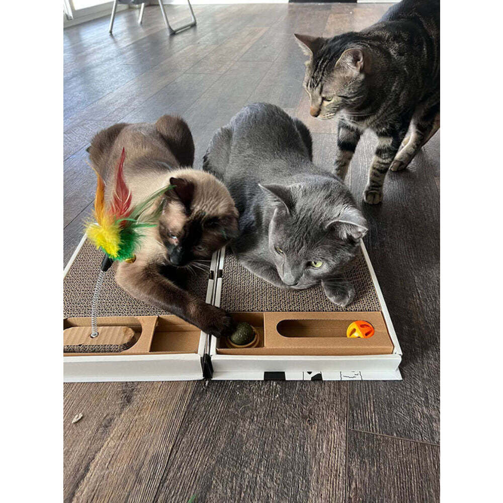 All-in-One Cat Scratcher Pad & Play Area - CatGlamour.com