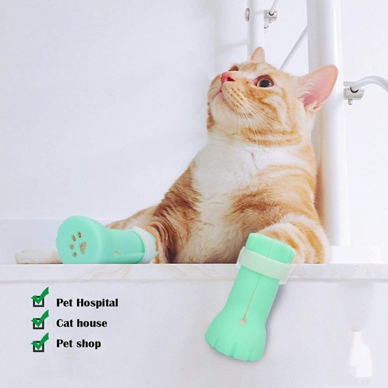 Anti-Scratch Cat Shoes Boots - CatGlamour.com