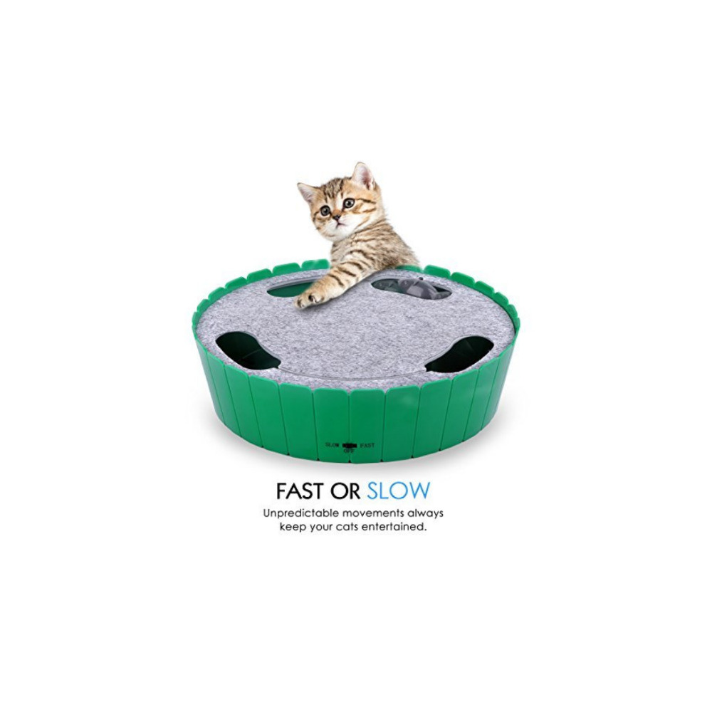 Chase Mouse Hunt Cat Toy - CatGlamour.com