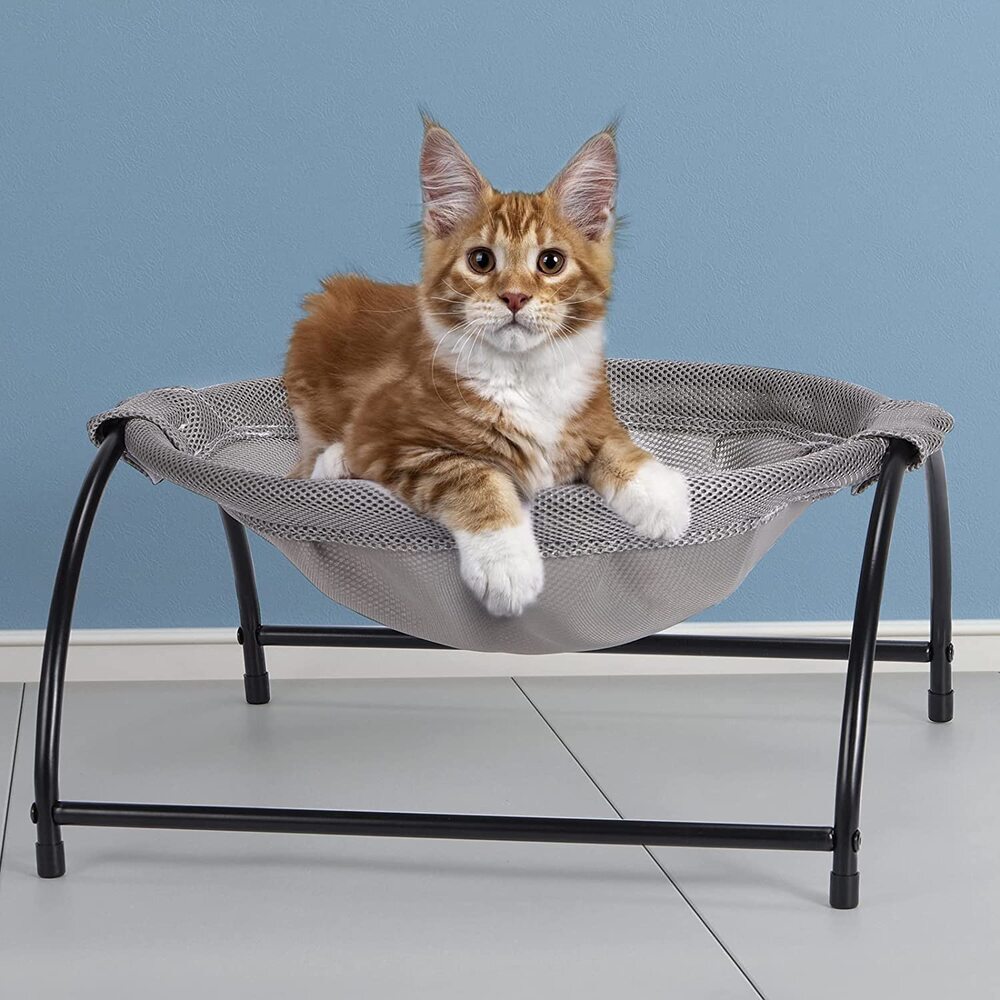 Elevated Stylish Cat Bed Hammock - CatGlamour.com