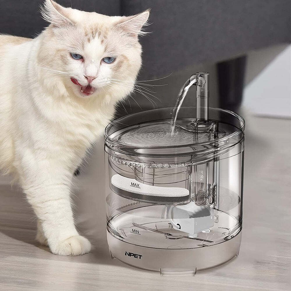 Faucet-Design Cat Water Fountain - CatGlamour.com