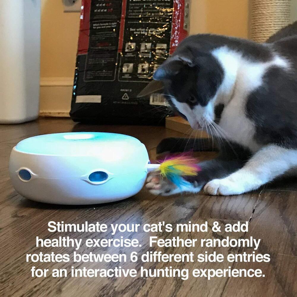 Interactive Ambush Cat Toy - CatGlamour.com