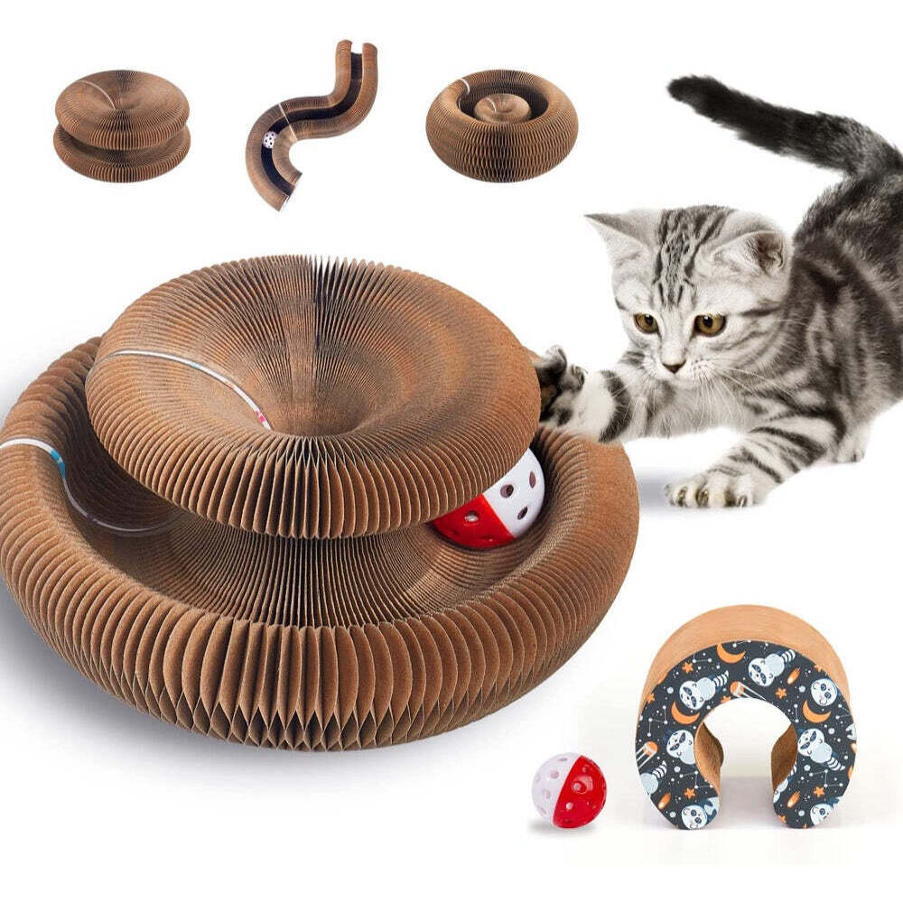 Magic Engaging Cat Scratching Board - CatGlamour.com