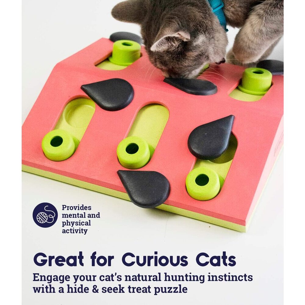 Melon Madness Cat Puzzle Feeder - CatGlamour.com
