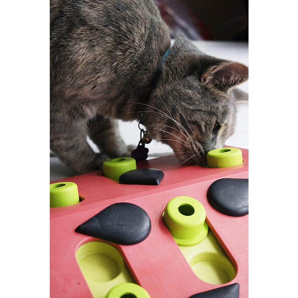 Melon Madness Cat Puzzle Feeder - CatGlamour.com