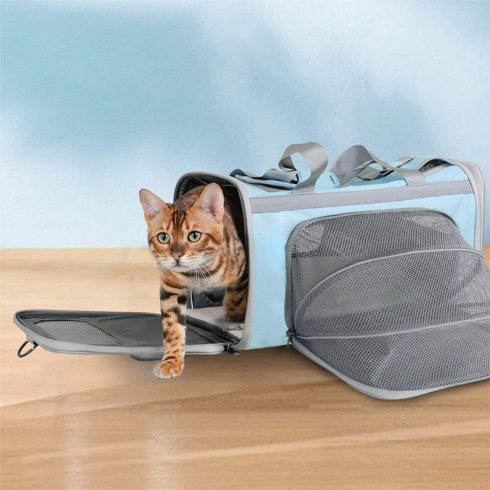 Modern Cat Vet Travel Carrier - CatGlamour.com