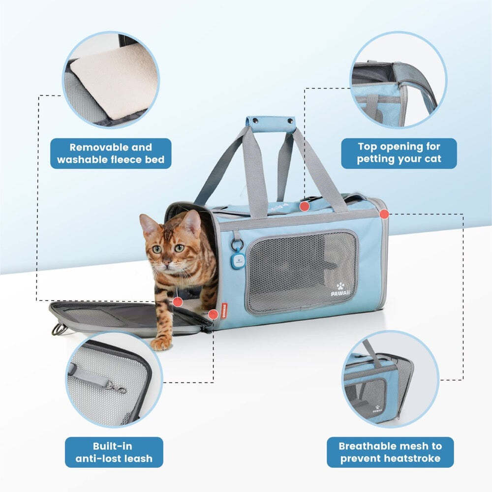 Modern Cat Vet Travel Carrier - CatGlamour.com