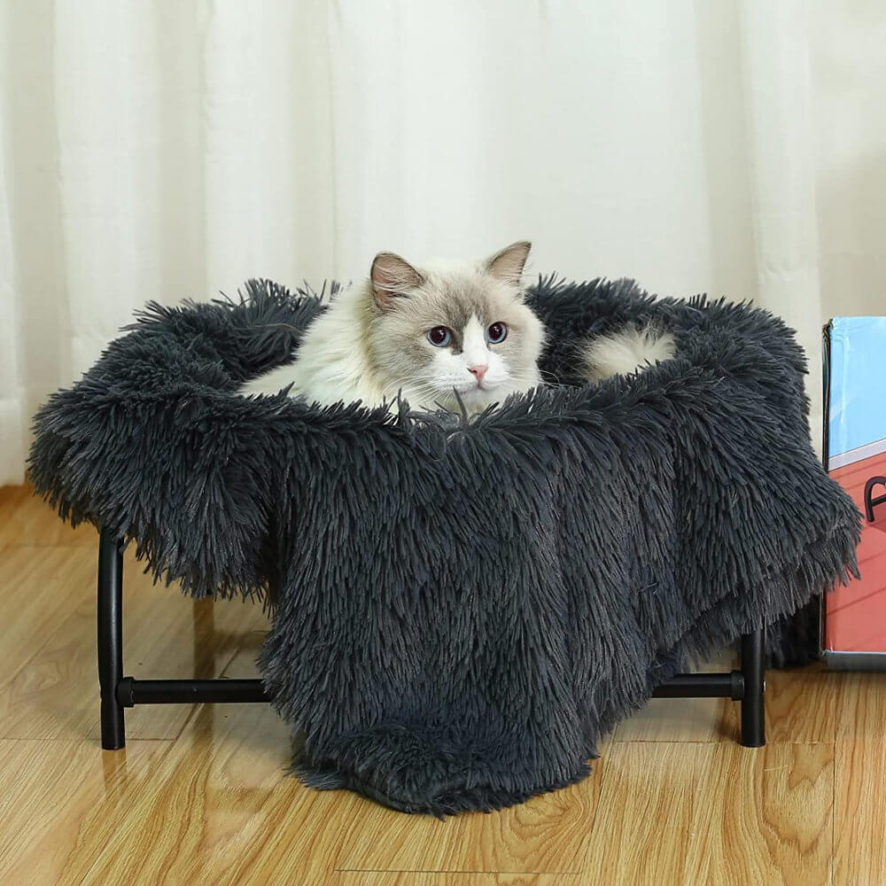 Premium Double Sided Super Soft Cat Blanket - CatGlamour.com
