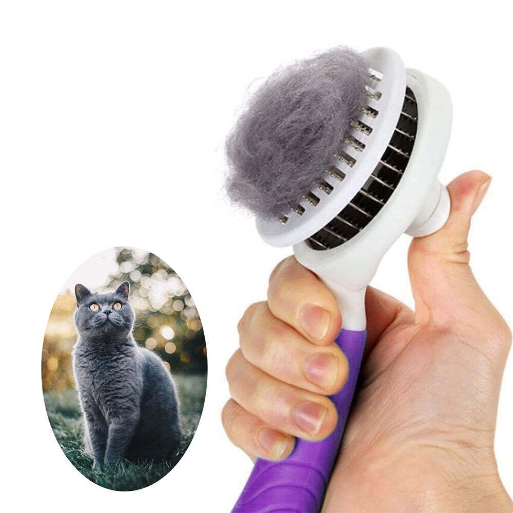 Self-Cleaning Cat Grooming Brush - CatGlamour.com