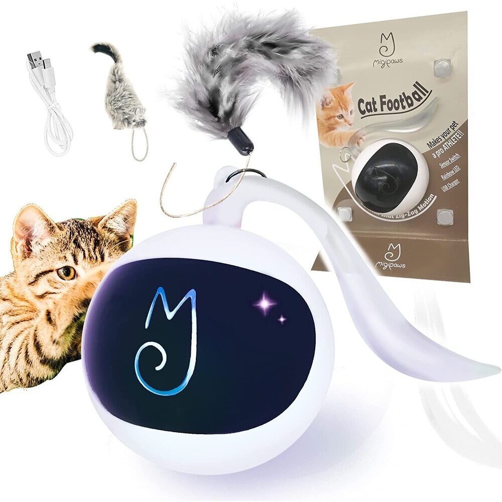 Smart Cat Electric Teaser Moving Ball - CatGlamour.com