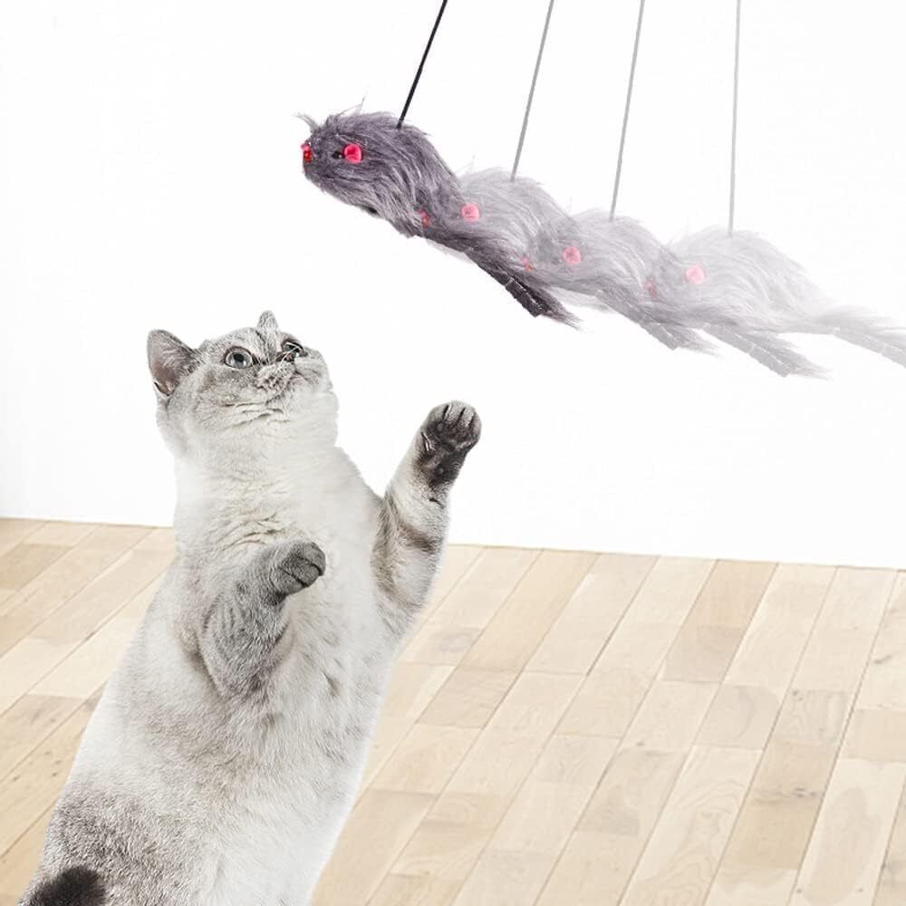 Chase & Play Retractable Cat Teaser Toy - CatGlamour.com