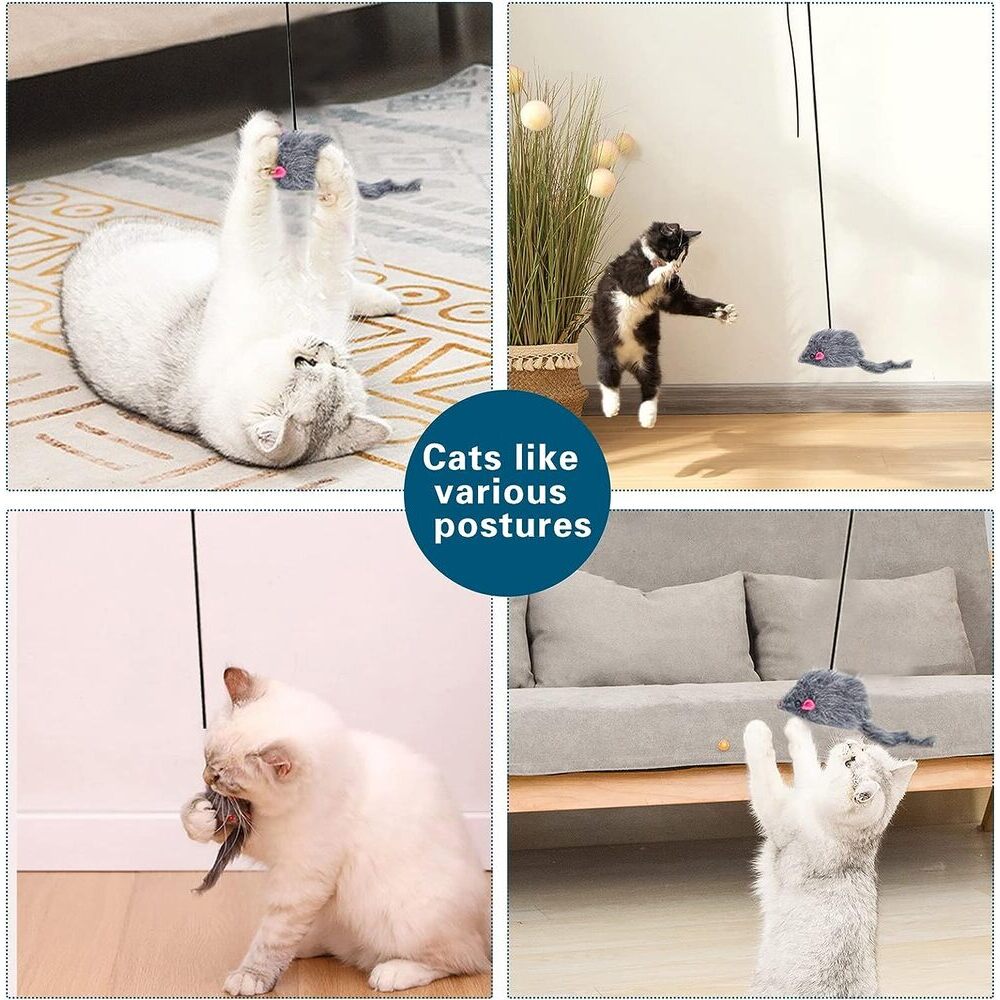 Chase & Play Retractable Cat Teaser Toy - CatGlamour.com