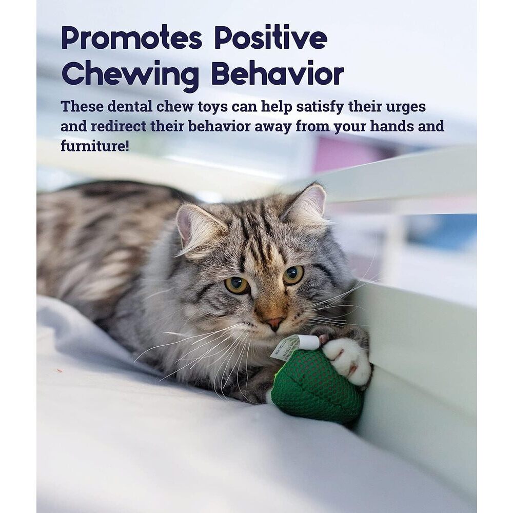 CatGlamour™ Fresh Cat Breath Chew Toy - CatGlamour.com