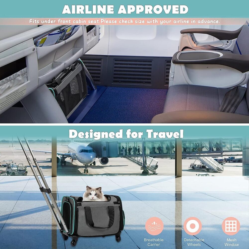 Rolling Cat Carrier with Wheels & Telescopic Handle - CatGlamour.com