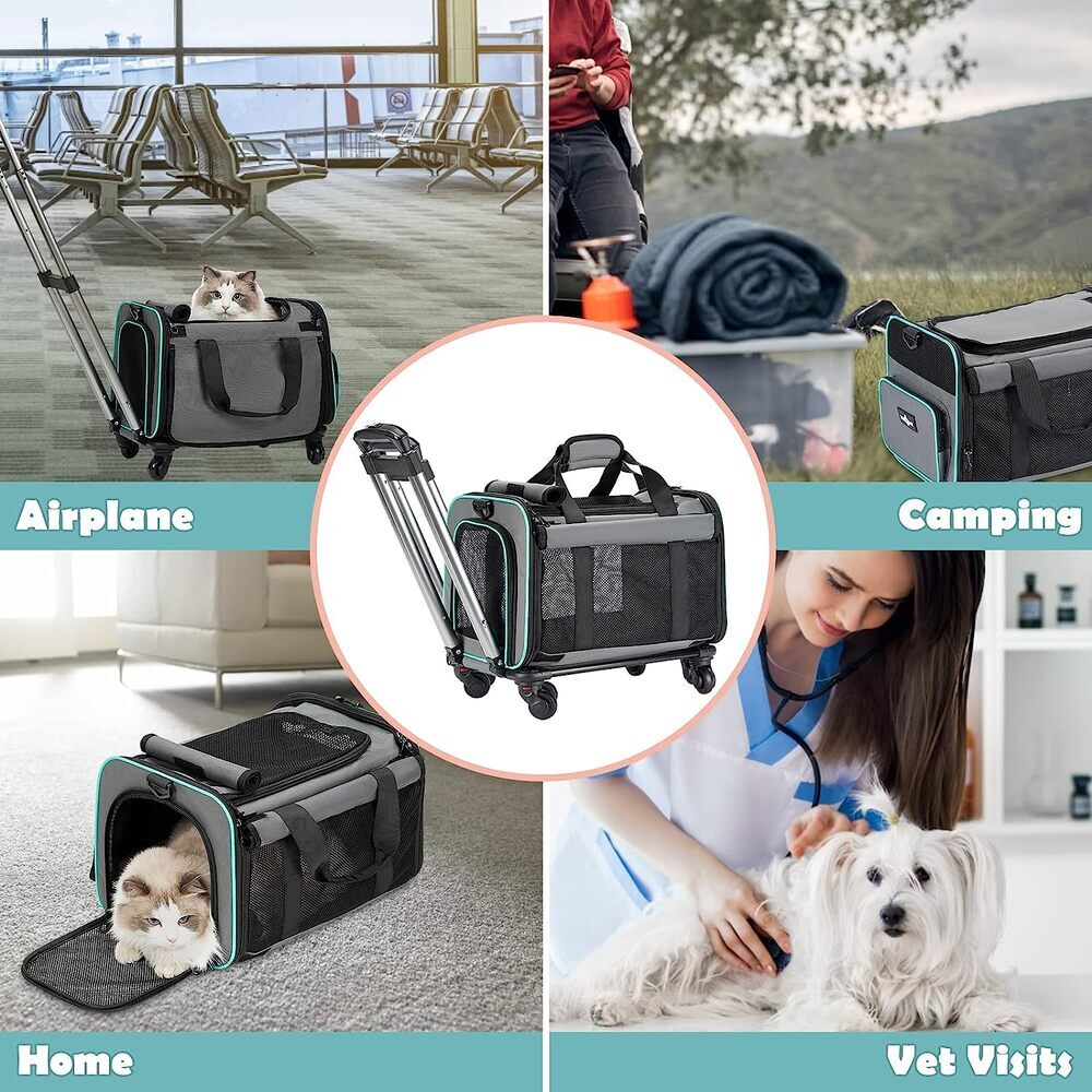 Rolling Cat Carrier with Wheels & Telescopic Handle - CatGlamour.com