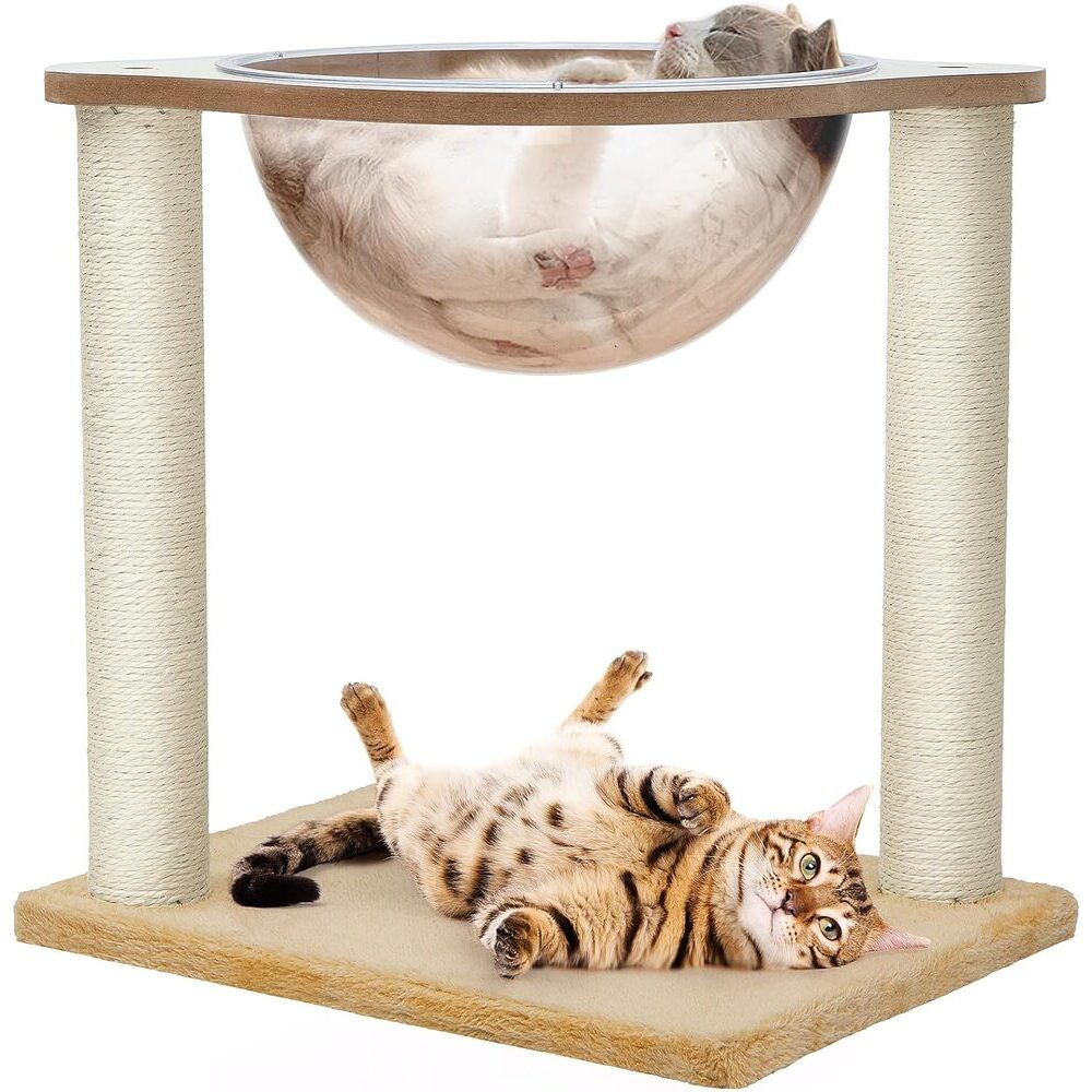 360-Degree Transparent Hemispherical Cat Hammock Bed - CatGlamour.com