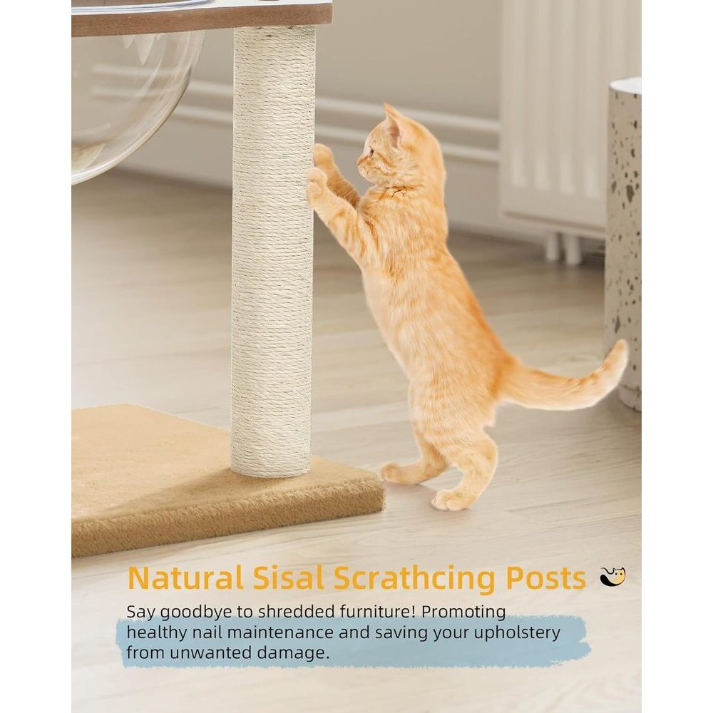 360-Degree Transparent Hemispherical Cat Hammock Bed - CatGlamour.com