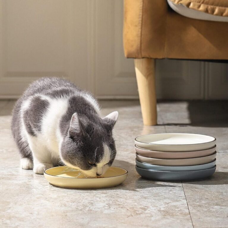 Ceramic Whisker Friendly Cat Bowl (Set of 3) - CatGlamour.com