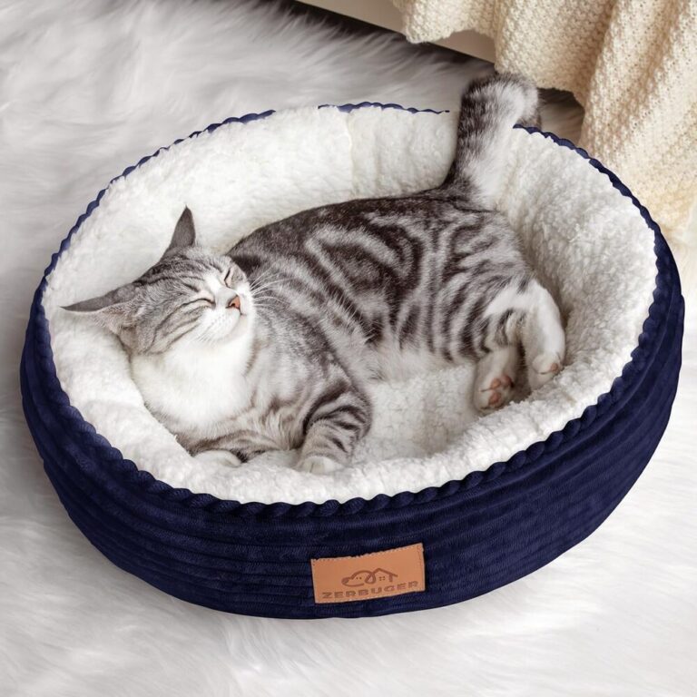 Ultimate Comfort: Calming Donut Round Cat Bed - CatGlamour.com