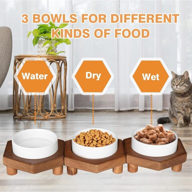 Elevated Ceramic Bowls with Wood Stand for Optimal Comfort & Anti-Slip ...