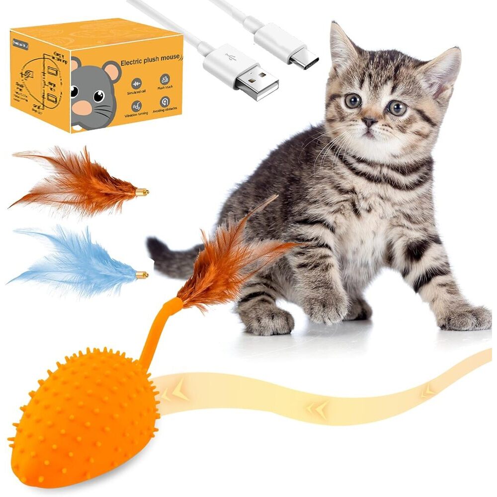 Interactive LED Mouse Cat Toy with Automatic Chirping, Feather Tail ...