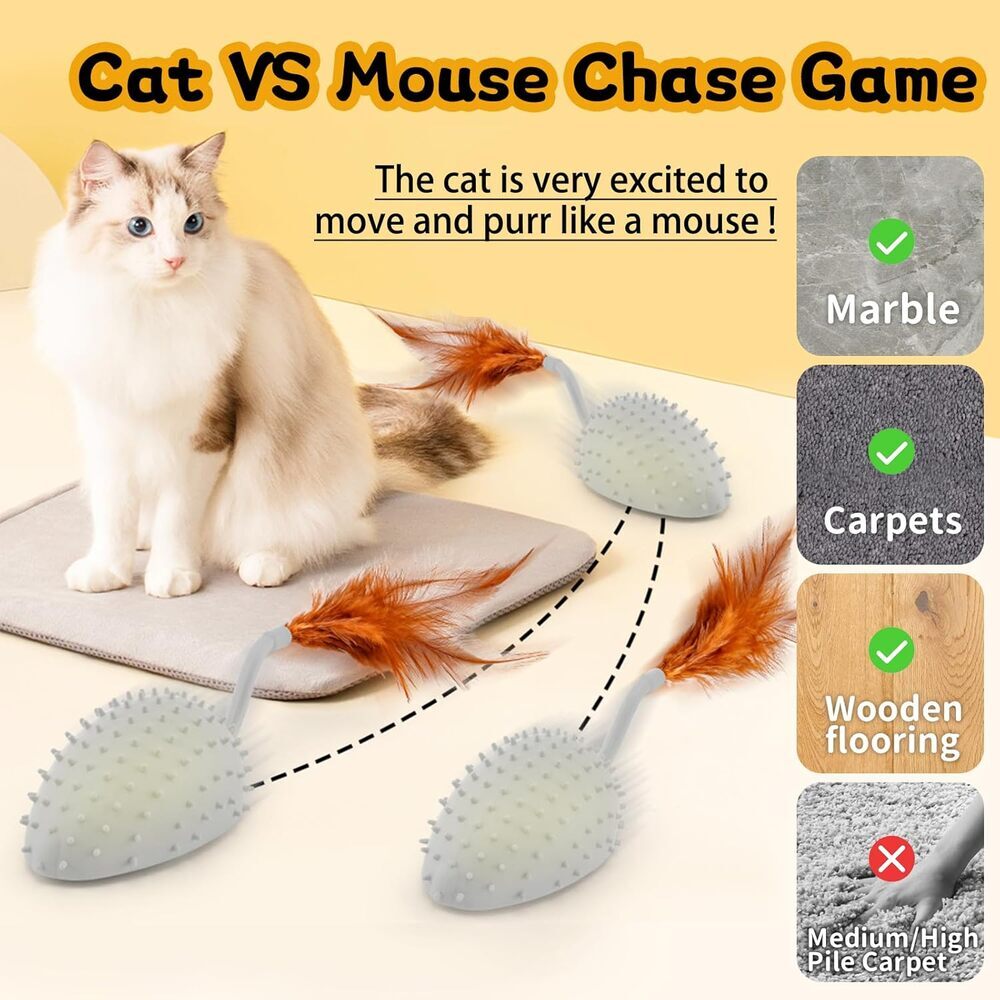 Interactive LED Mouse Cat Toy with Automatic Chirping, Feather Tail ...